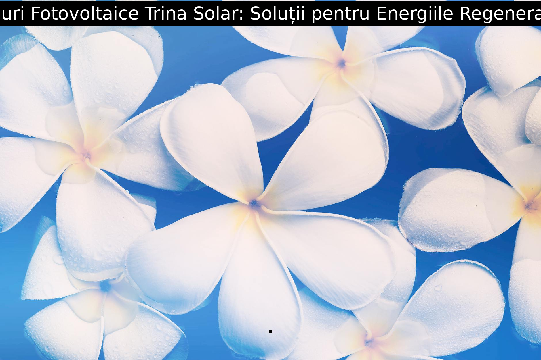 Panouri Fotovoltaice Trina Solar: Soluții pentru Energiile Regenerabile ...