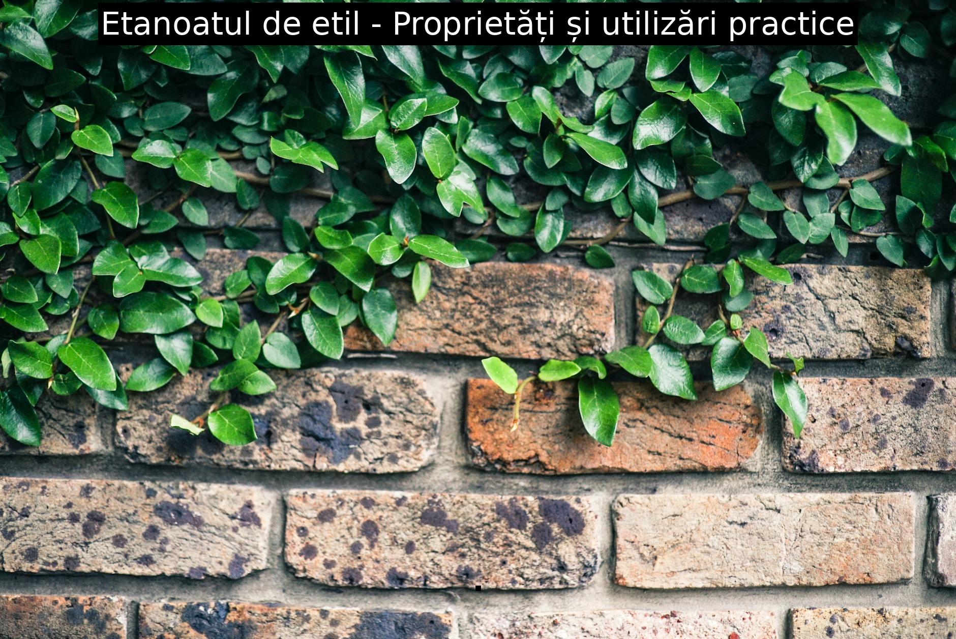 Etanoatul de etil - Proprietăți și utilizări practice - Panouri ...
