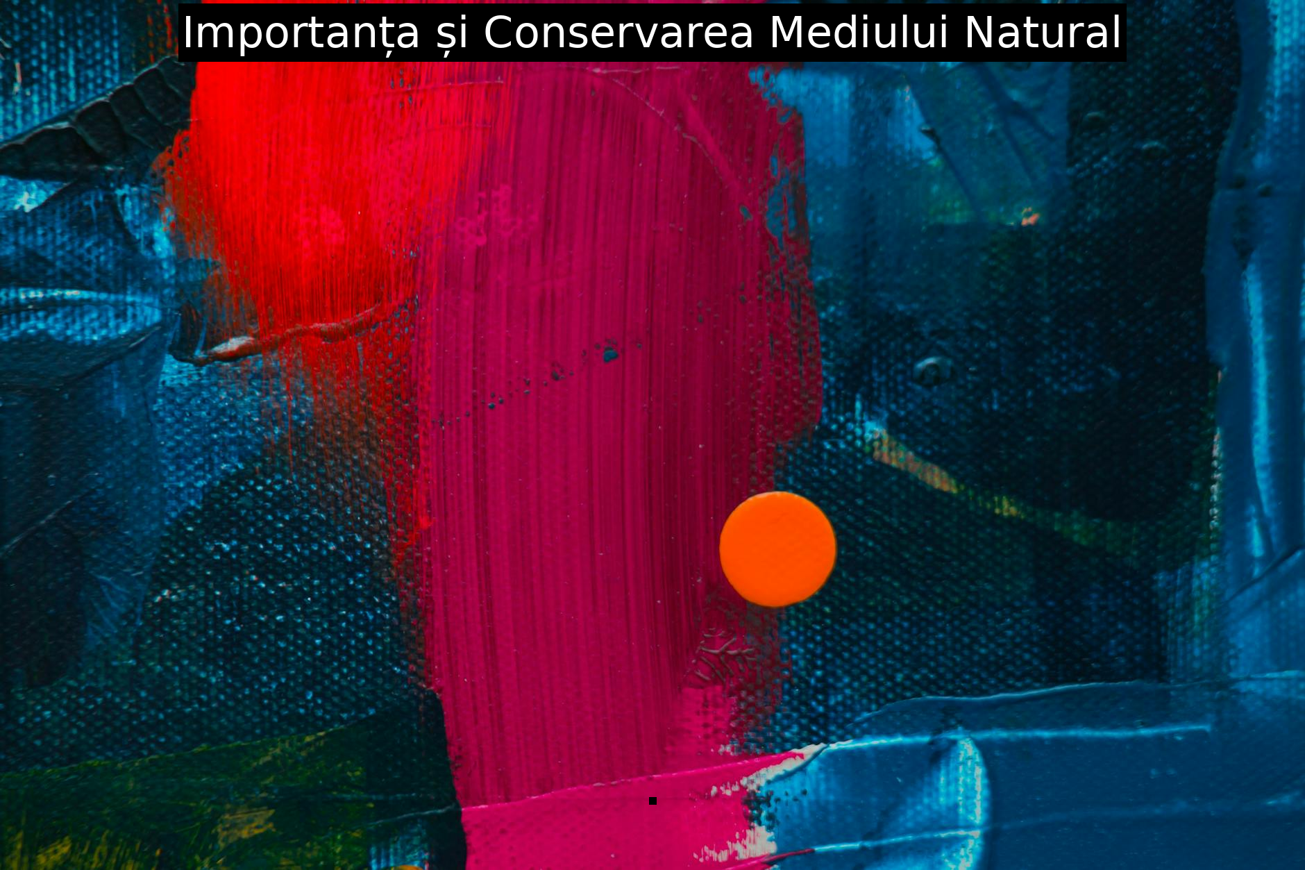 Importanța și Conservarea Mediului Natural - Panouri Fotovoltaice