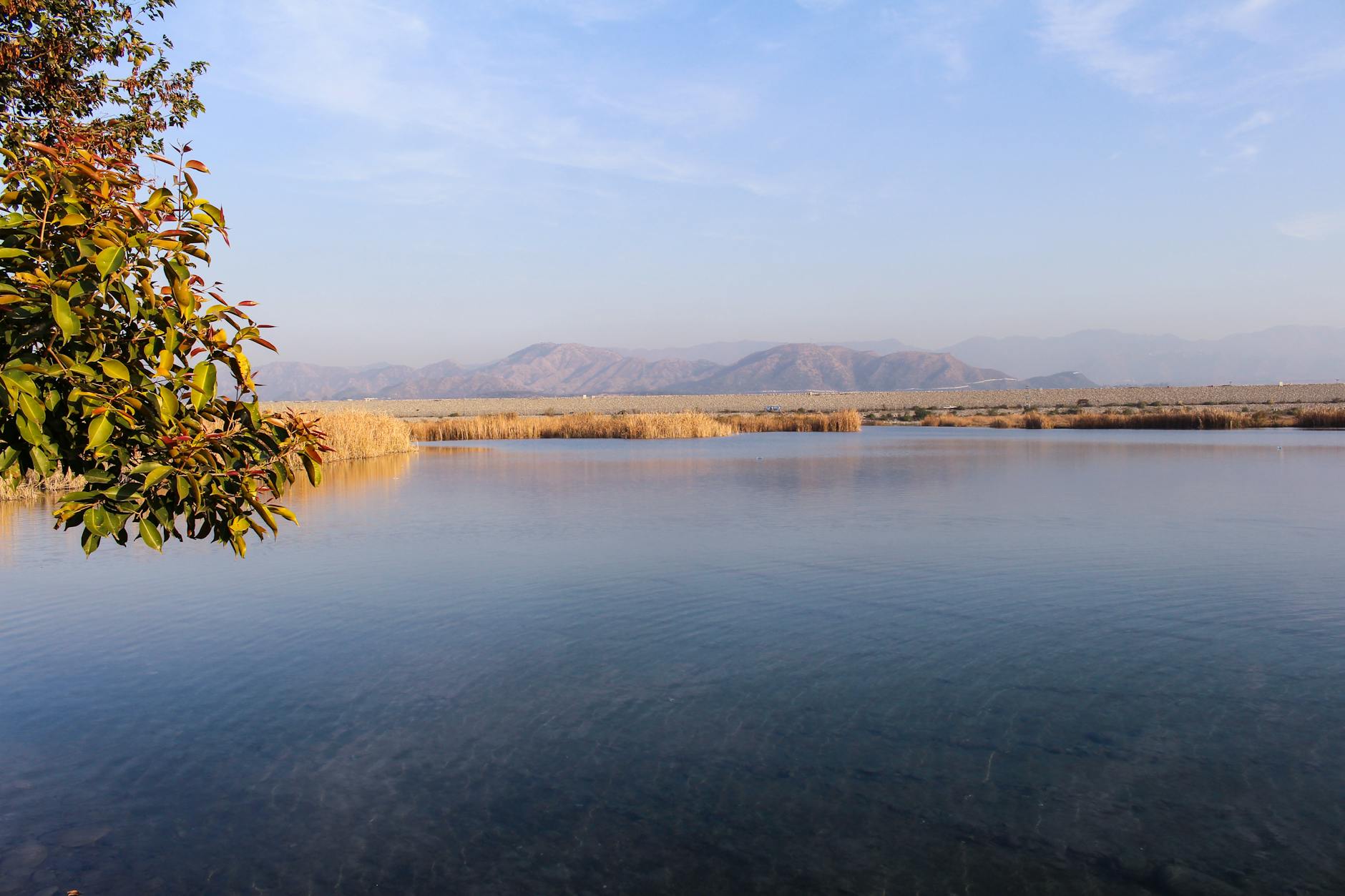 Managementul Durabil al Bazinelor Hidrografice - Panouri Fotovoltaice