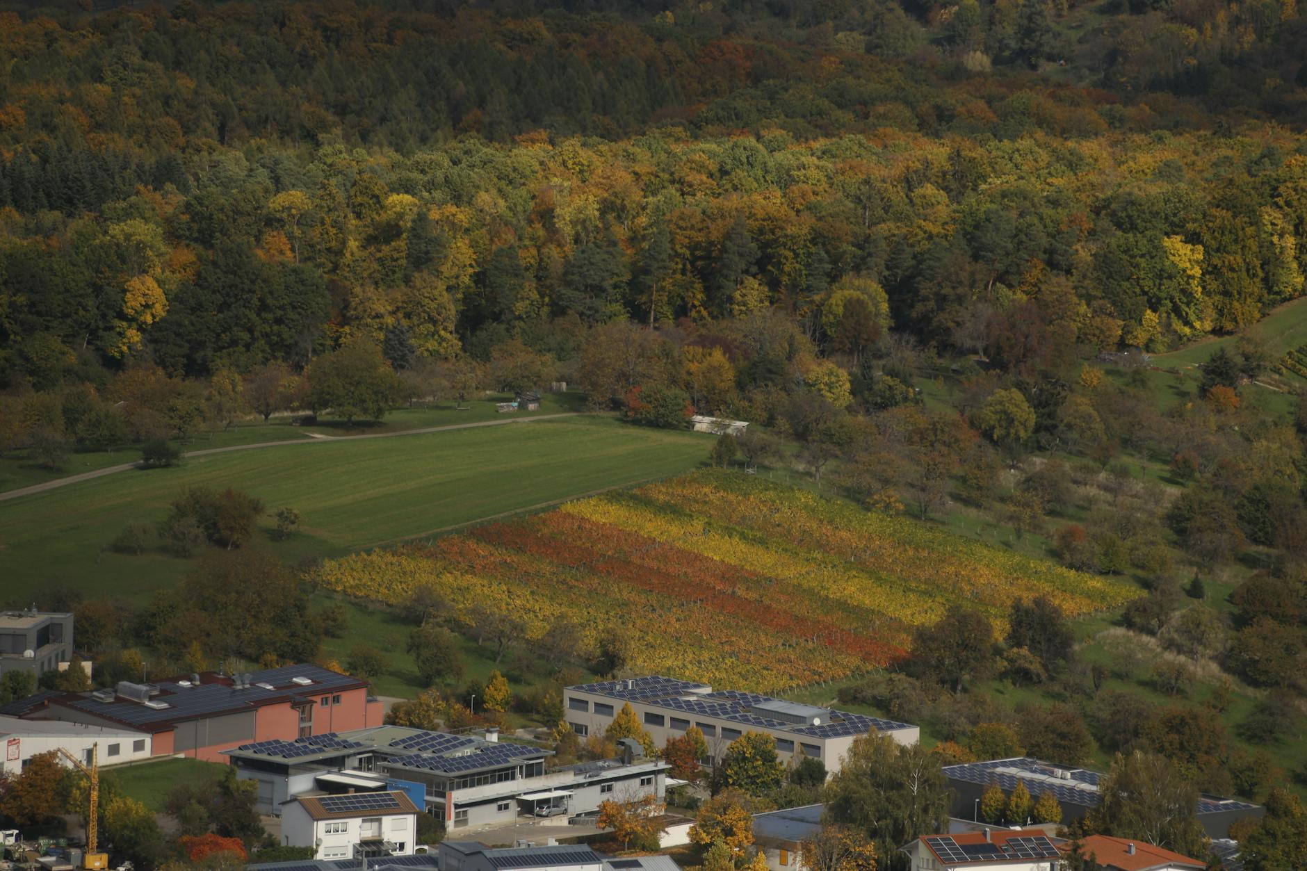 Panouri Fotovoltaice pentru ferme de creștere a peștilor - Panouri ...