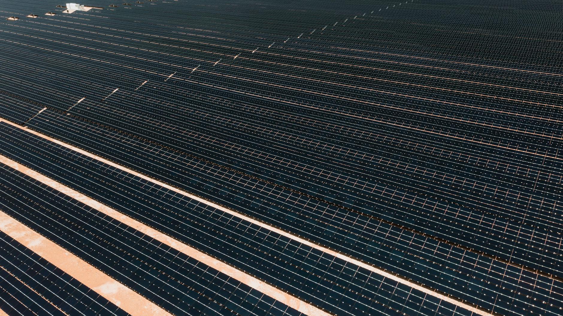 Cum să alegi panouri fotovoltaice pentru ferme ecologice - Panouri ...